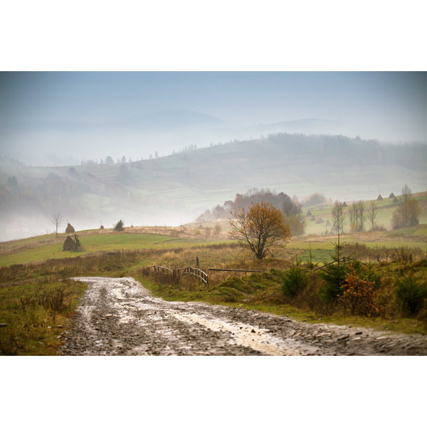 Millwood Pines Muddy Ground | Wayfair