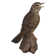 Hi-Line Gift Ltd. Songbird Standing on Stump Statue & Reviews | Wayfair