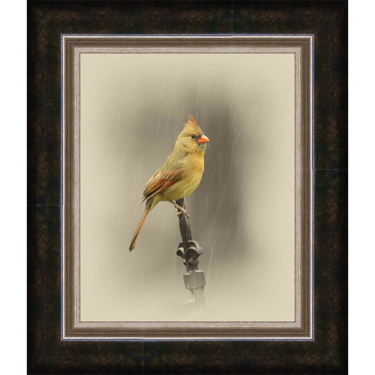 August Grove® Female Cardinal - Picture Frame Graphic Art on Canvas ...