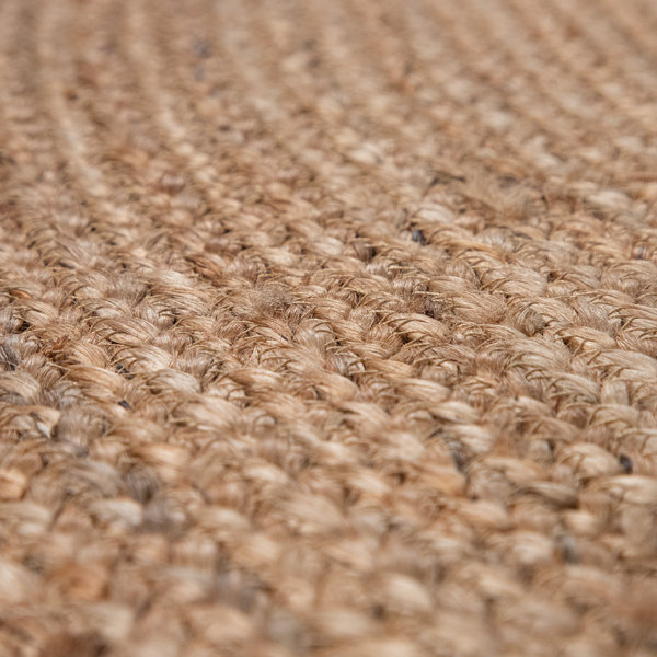 Beachcrest Home Nell Handmade Hand Braided Jute/Sisal Brown Rug ...