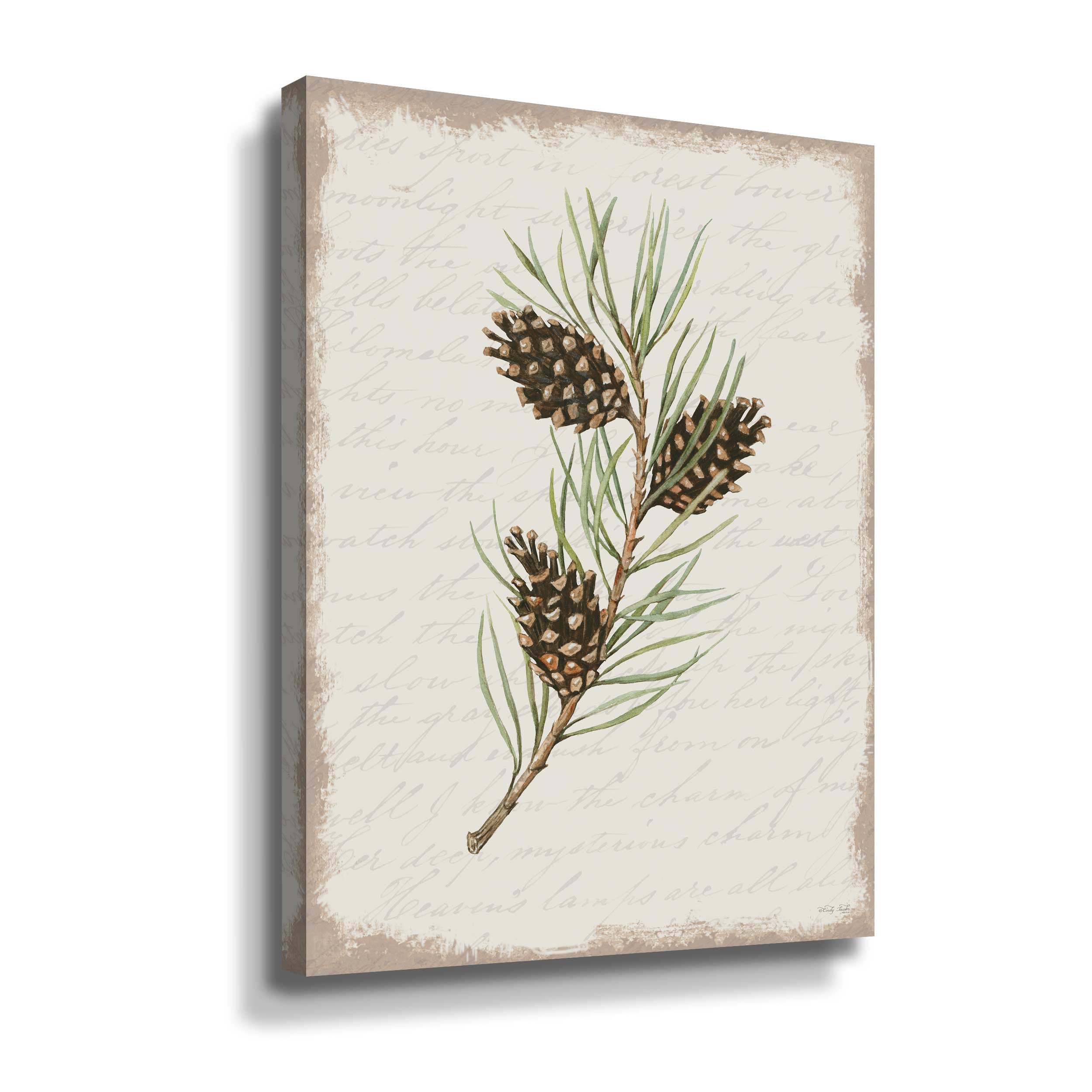ArtWall Pine Cone Botanical I - Graphic Art on Canvas | Wayfair