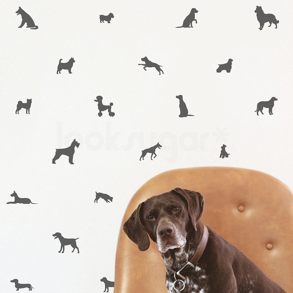Isabelle & Max™ Dog Pattern Wall Decal | Wayfair