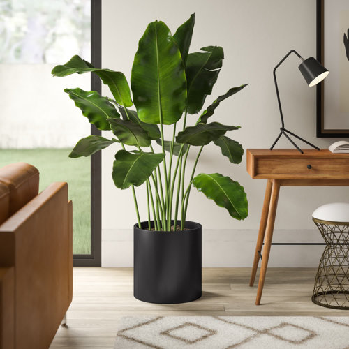 Modern Planters | AllModern