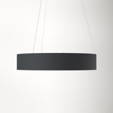 Modern Unique / Statement Pendant Lighting | AllModern