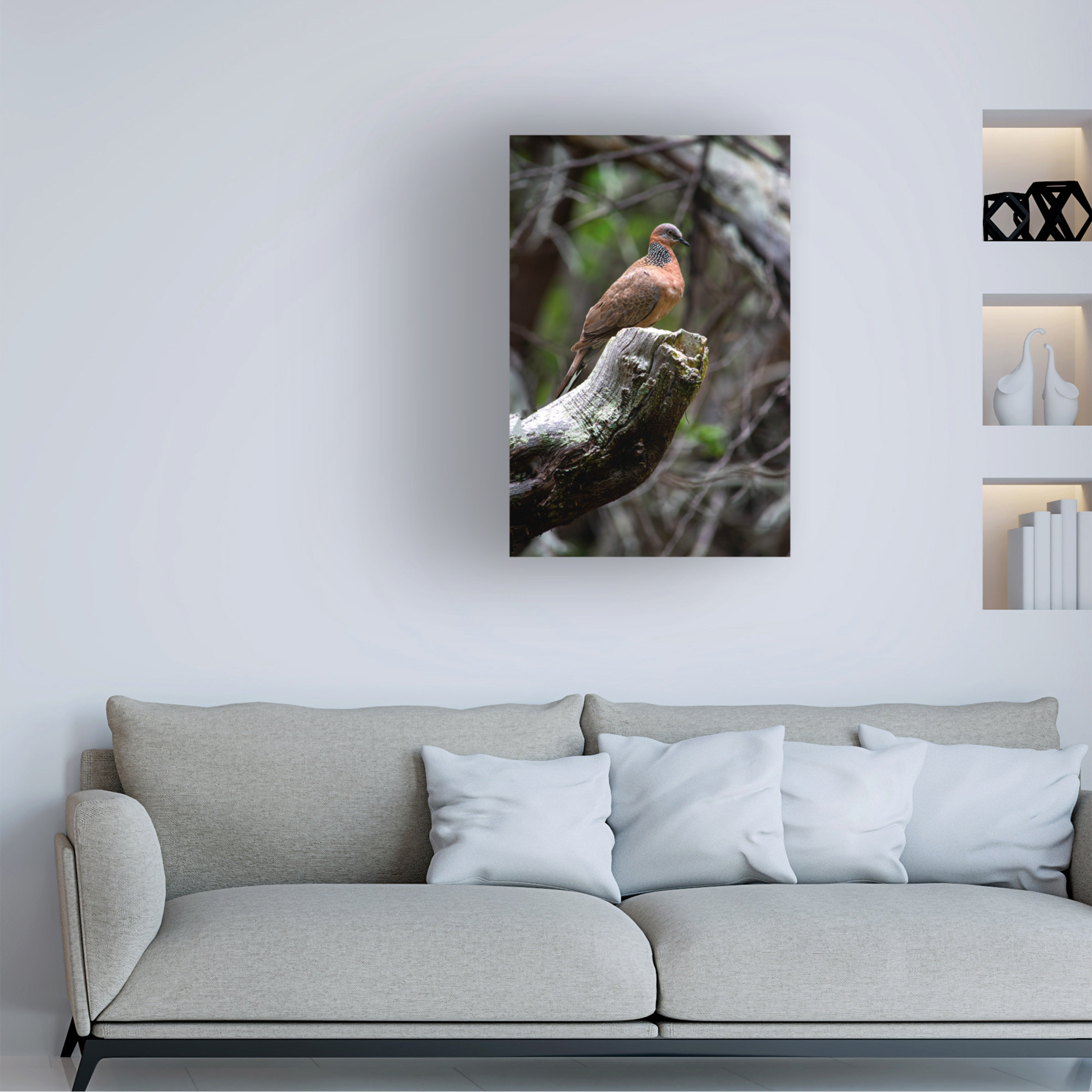 Latitude Run® Spotted Dove by - Wrapped Canvas Graphic Art | Wayfair