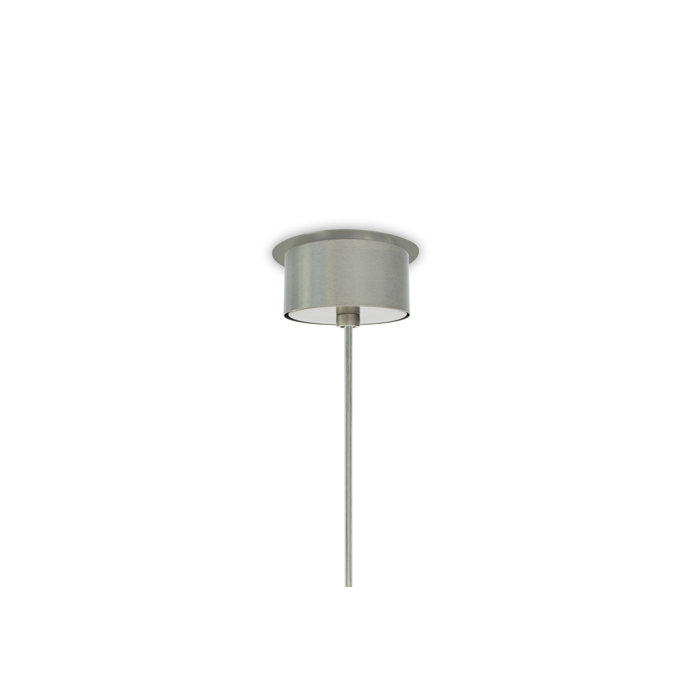 LZF Swirl Pendant by Ray Power & Reviews | Wayfair