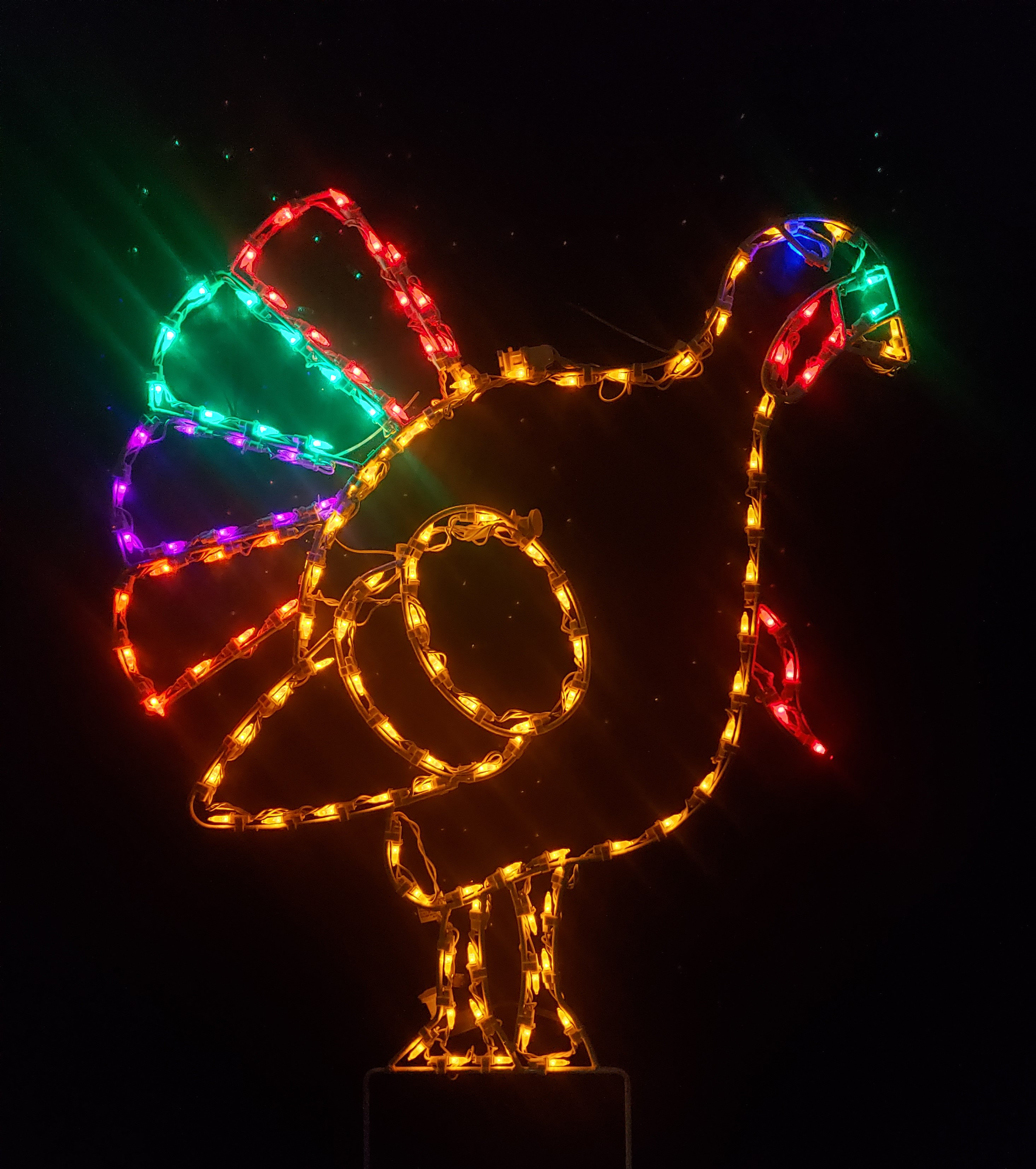 Lori's Lighted D'Lites Thanksgiving Turkey Holiday Lighted Display ...