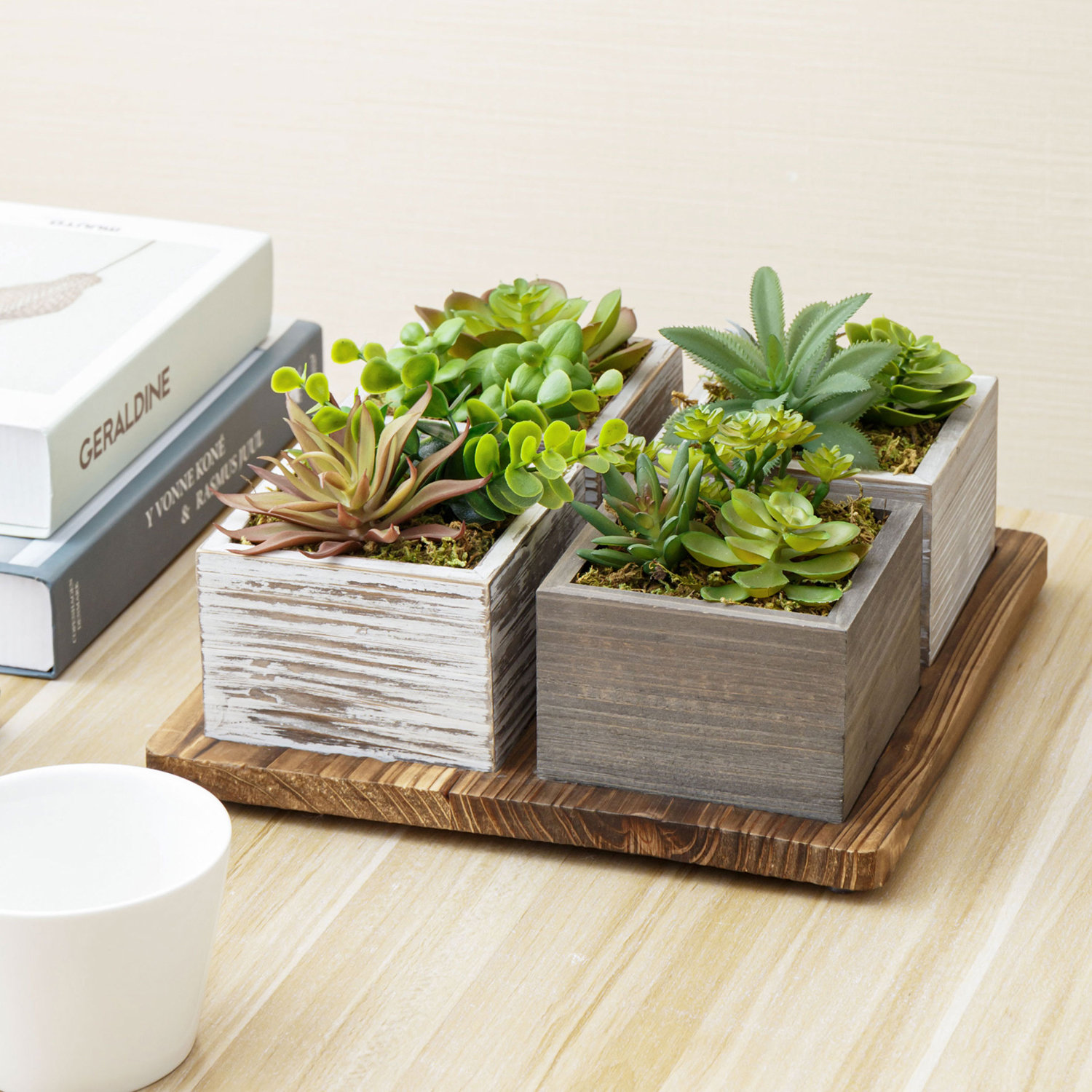 Primrue 5 Piece Artificial Succulent in Pot Set | Wayfair