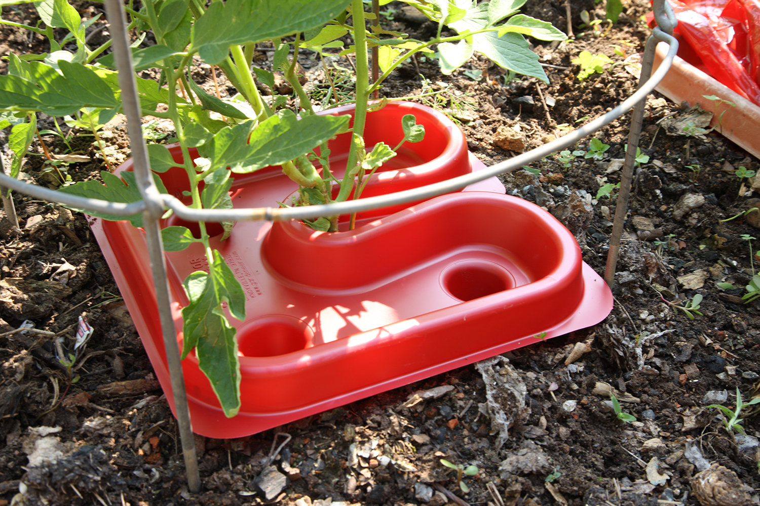 Arlmont & Co. Hlee Split Tray | Wayfair