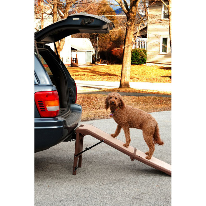 Pet Gear Free Standing 56" Pet Ramp & Reviews | Wayfair