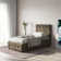 Brayden Studio® Morphis Upholstered Storage Bed & Reviews | Wayfair