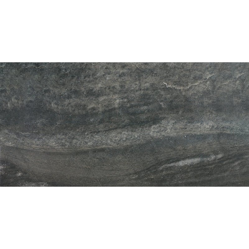 Parvatile Enrichment 12" x 24" Porcelain Field Tile in Charcoal ...