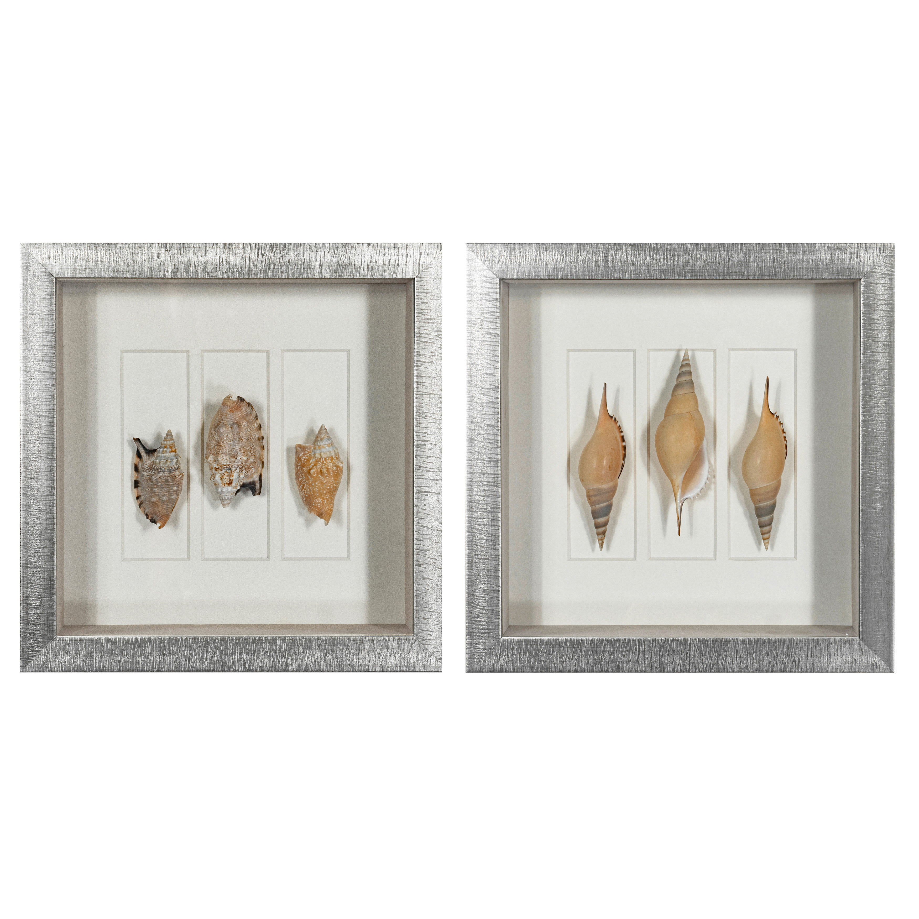 Rosecliff Heights 2 Piece Sea Shell Shadow Box Wall Décor Set | Wayfair