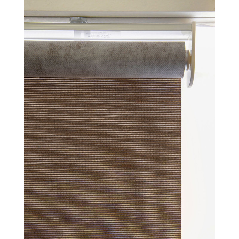 Latitude Run® Roller Shade & Reviews | Wayfair