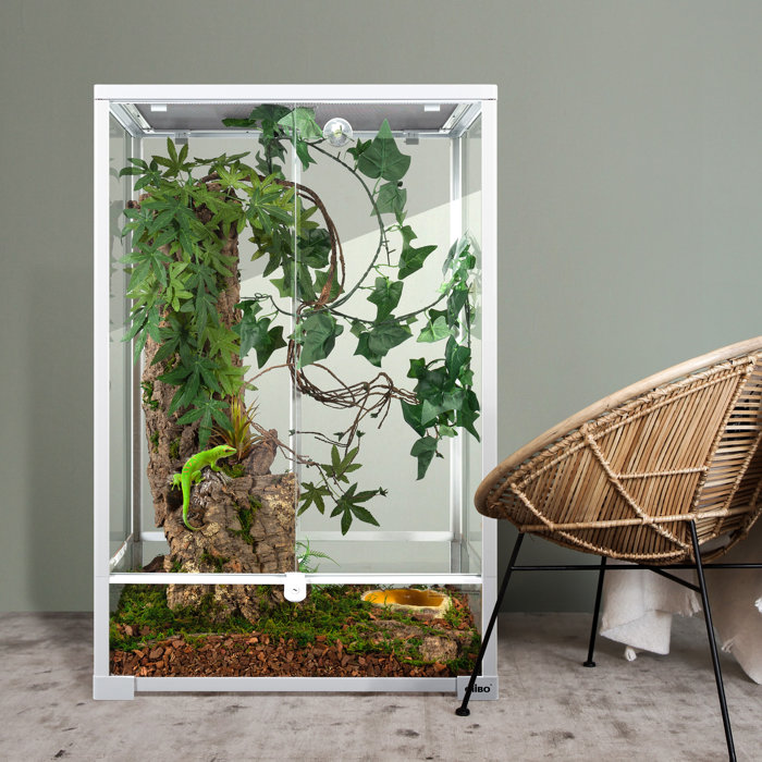 OiiBO 55 Gallons 24'' x 18'' x 36'' Reptile Terrarium & Reviews | Wayfair