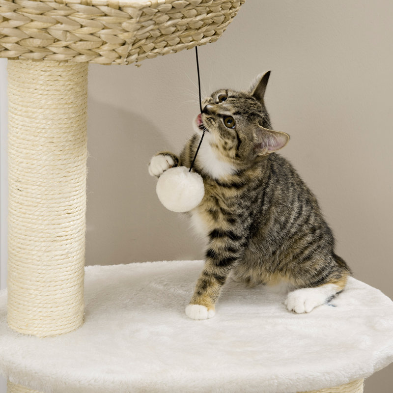 Archie & Oscar™ 47" Therese Cat Tree | Wayfair