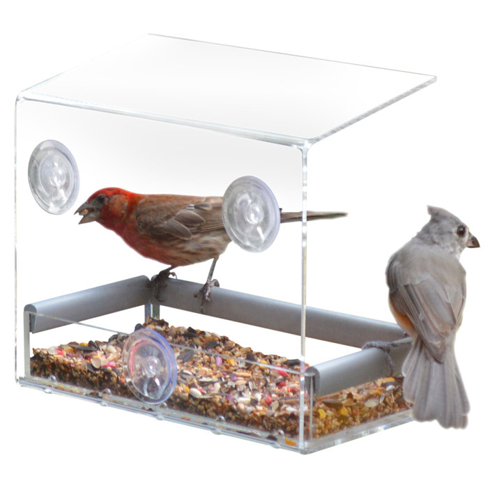 PetFusion Tranquility Window Tray Bird Feeder & Reviews | Wayfair