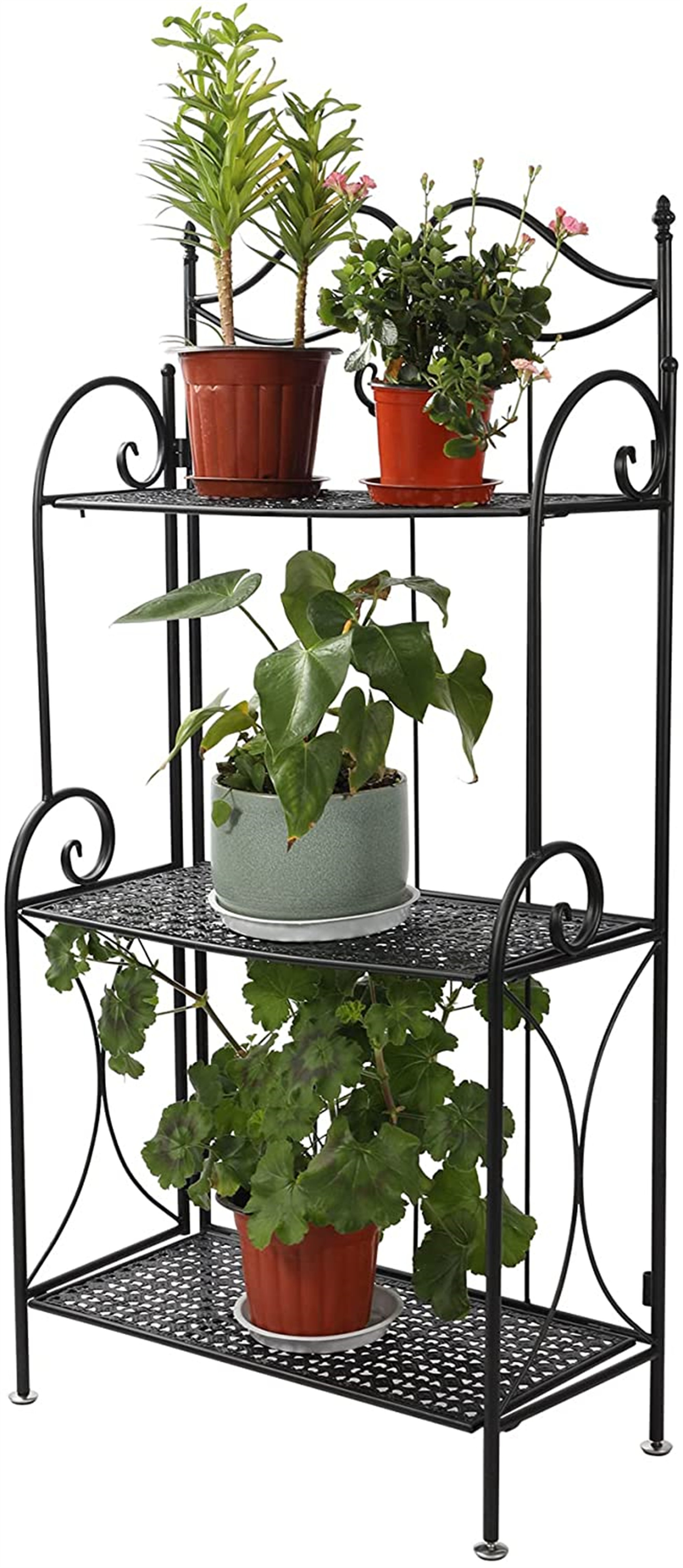 Red Barrel Studio® Rectangular Multi-Tiered Plant Stand | Wayfair