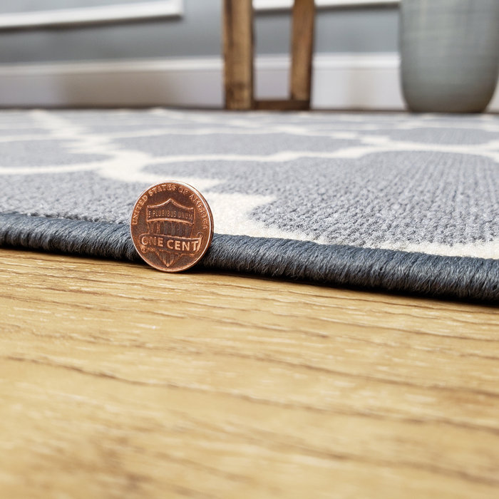 Winston Porter Hinman Performance Gray Rug & Reviews | Wayfair