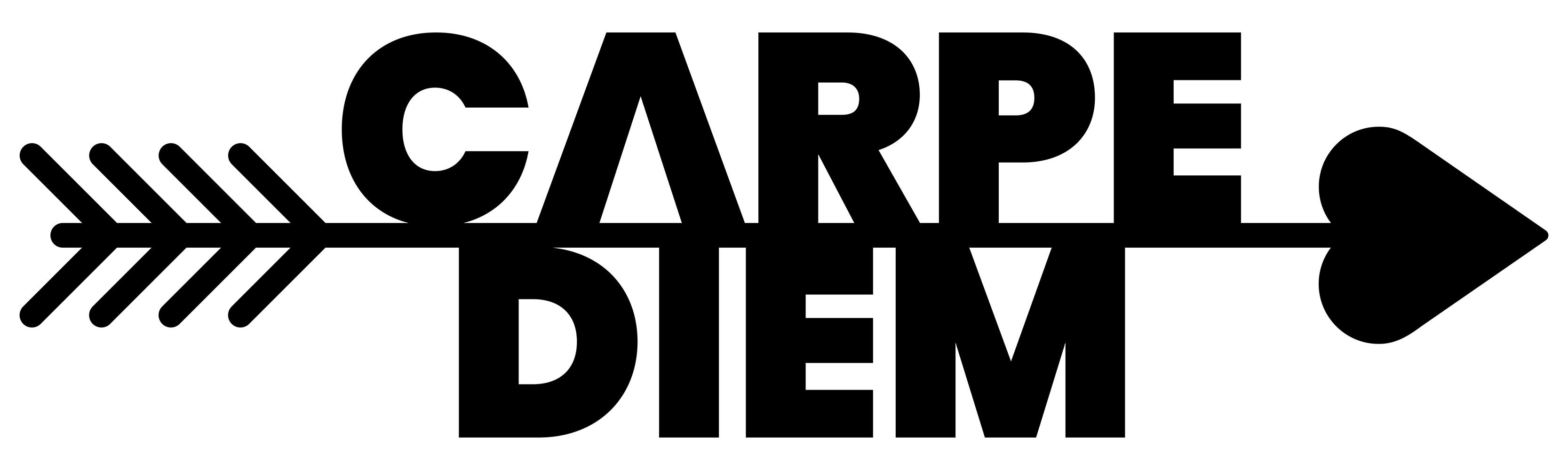 Winston Porter Canandaigua Carpe Diem Beautiful Solid Steel Wall Art ...