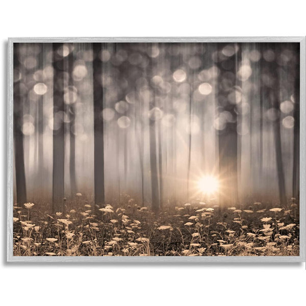 Millwood Pines Wild Flowers Foggy Forest - Picture Frame Photograph on ...