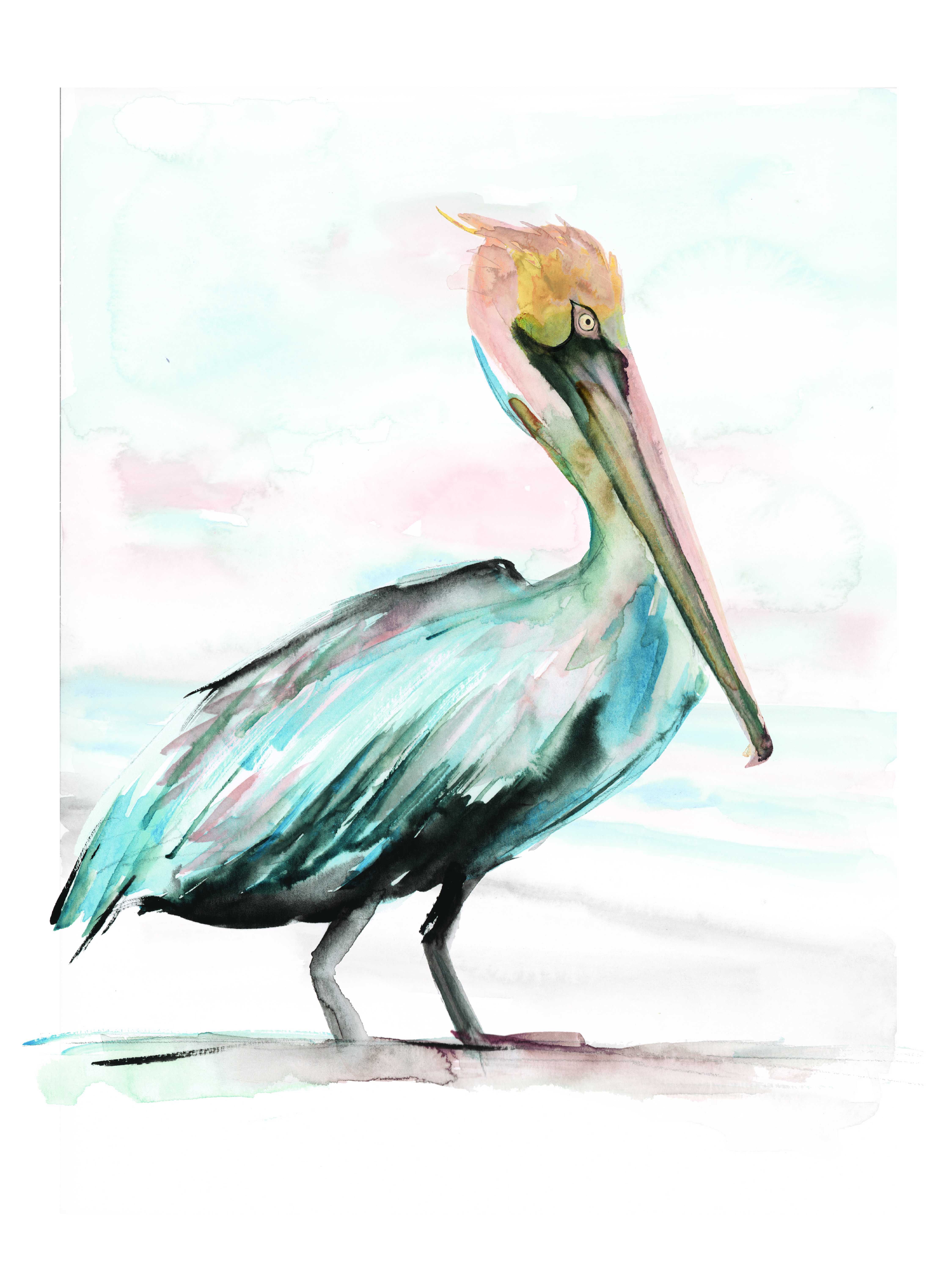 Rosecliff Heights Morning Pelic | Wayfair