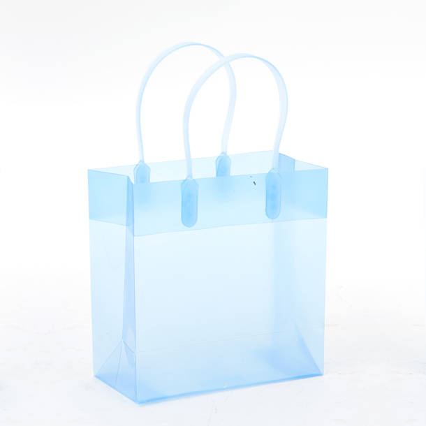 Bala Plastic Disposable Gift Bag | Wayfair