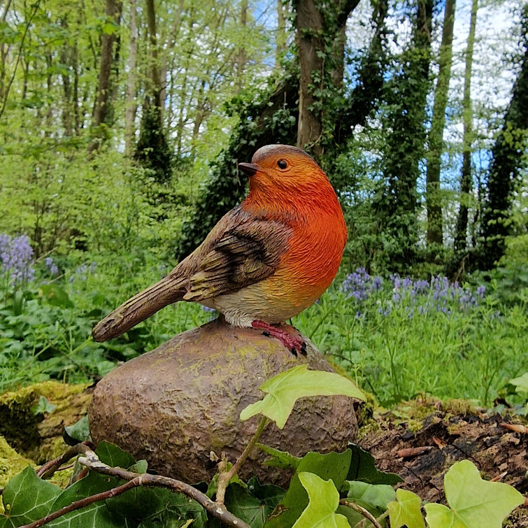 Rosalind Wheeler Molchadsky Robin on a Stone & Reviews | Wayfair.co.uk