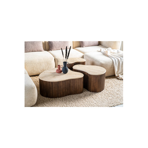 Eleonora Mari Coffee Table | Wayfair