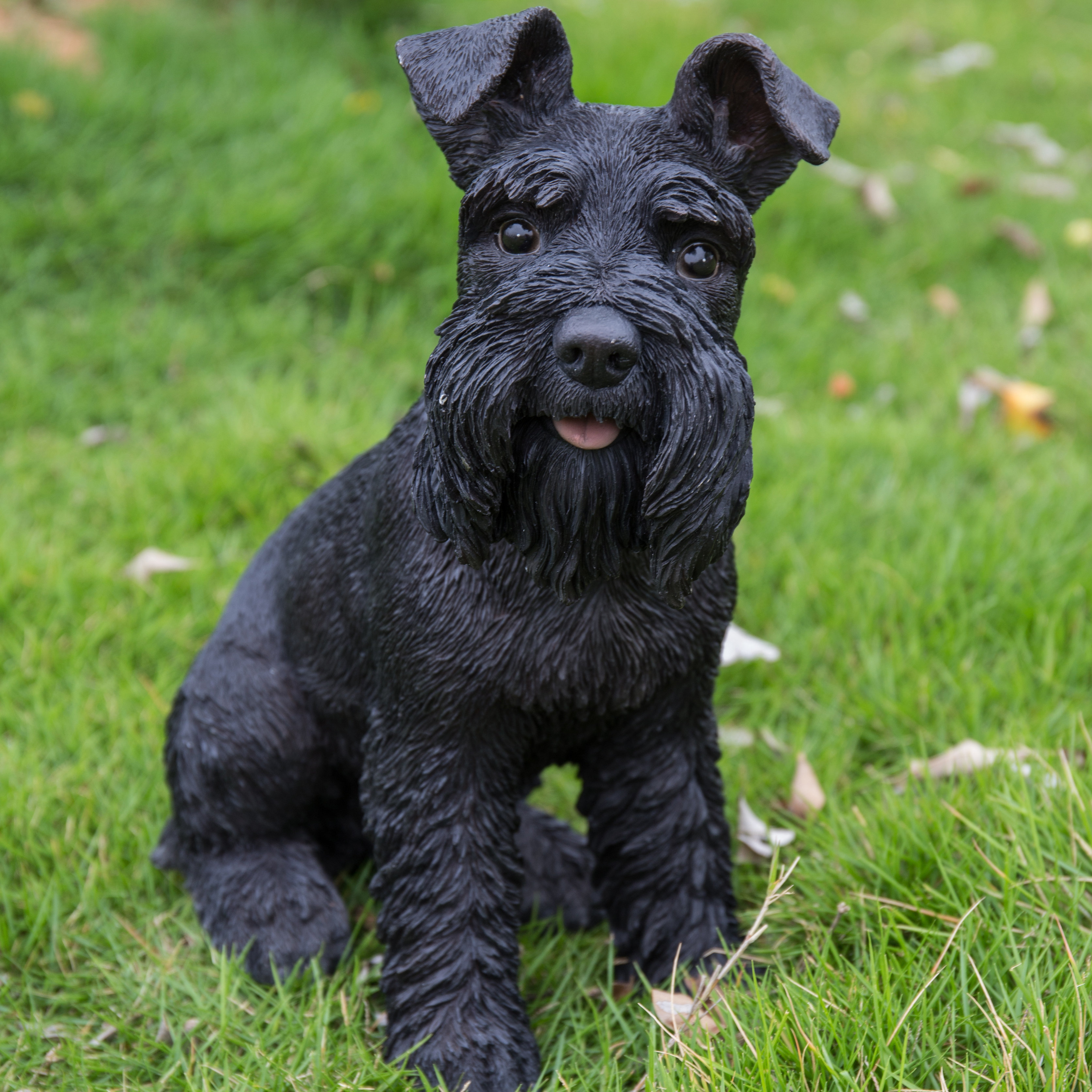 Hi-Line Gift Ltd. Schnauzer Statue & Reviews | Wayfair