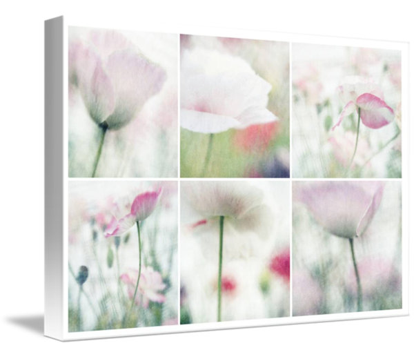 Ophelia & Co. Suffused With Light Collage - Graphic Art on Canvas | Wayfair