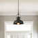 Williston Forge Waynetown 1 - Light Single Dome Pendant & Reviews ...