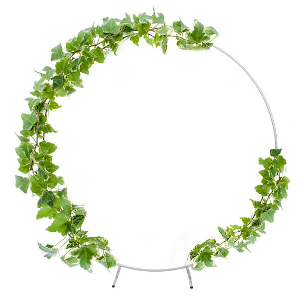 LUVODI Heavy Duty Round Wedding Arch & Reviews | Wayfair
