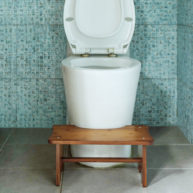 Lark Manor 6.69" Wood Lightweight Step Stool & Reviews | Wayfair