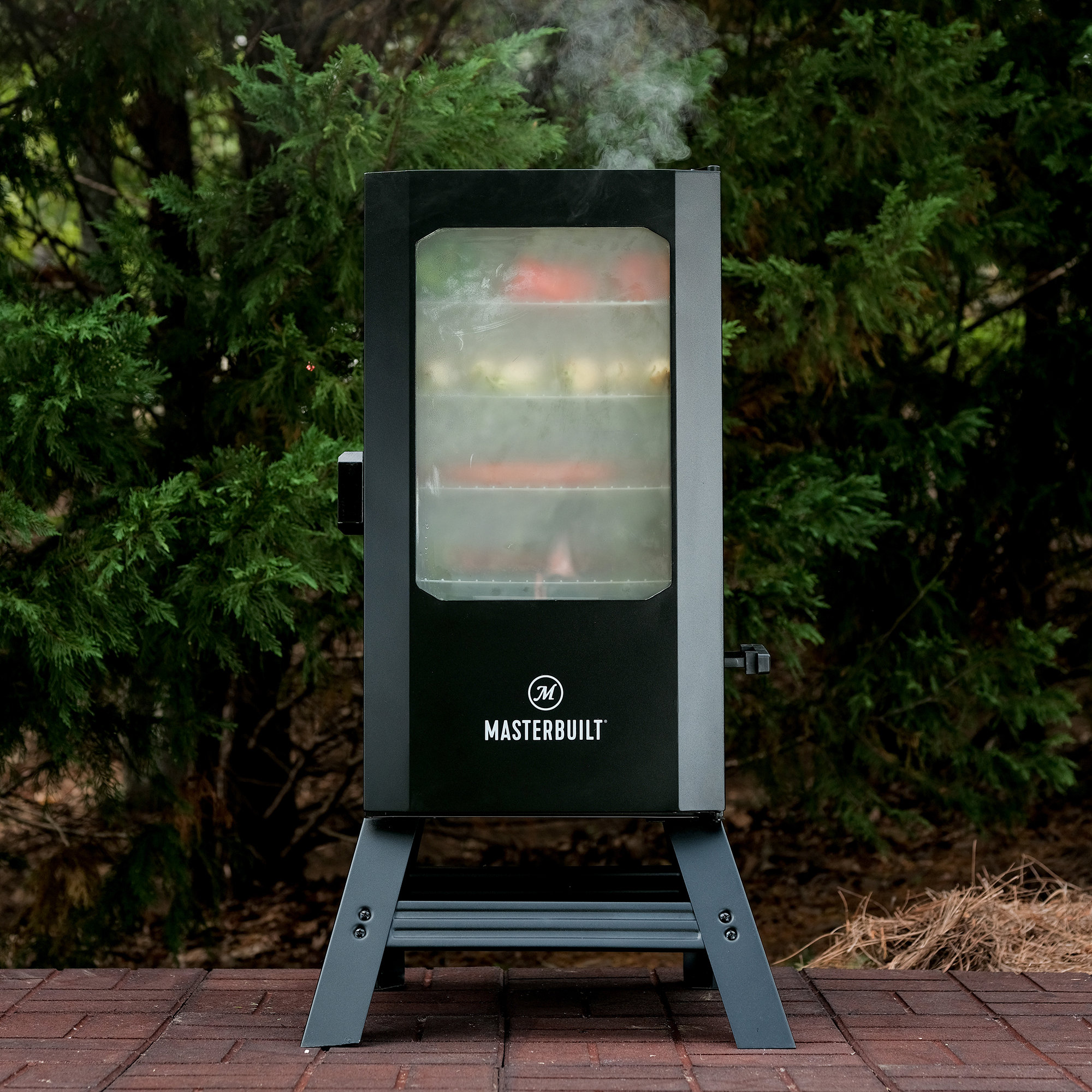 Masterbuilt 30-inch Digital Electric Smoker & Reviews | Wayfair