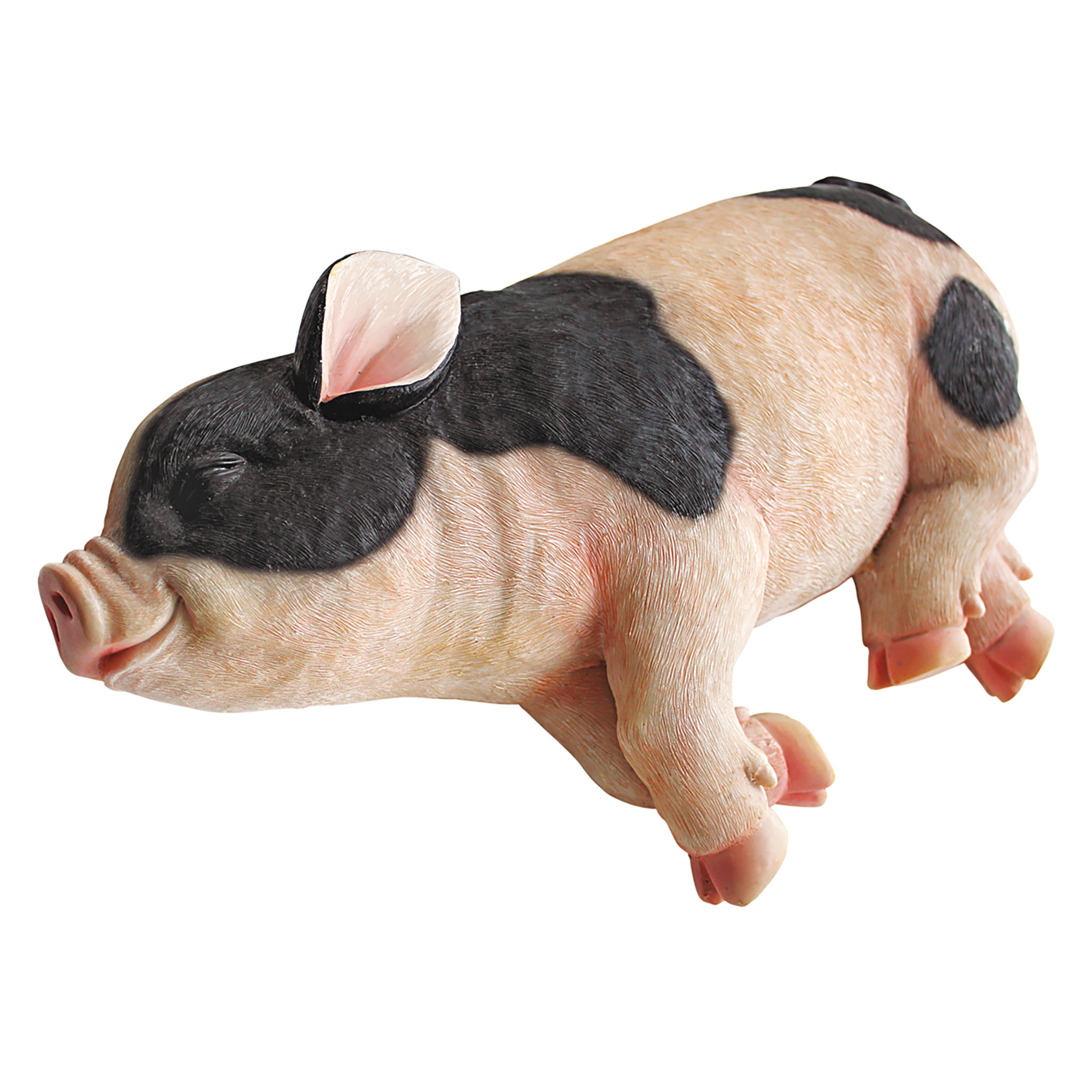 Design Toscano Sleeping Pig Statue & Reviews | Wayfair