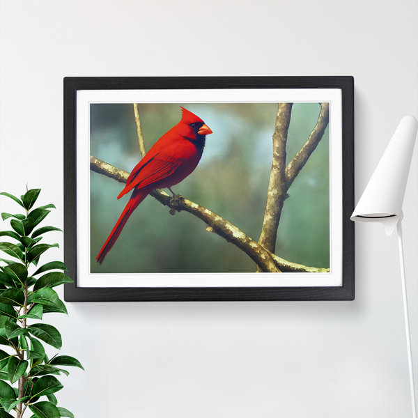 The Seasonal Aisle Cardinal Bird Vol.11 - Single Picture Frame Graphic ...