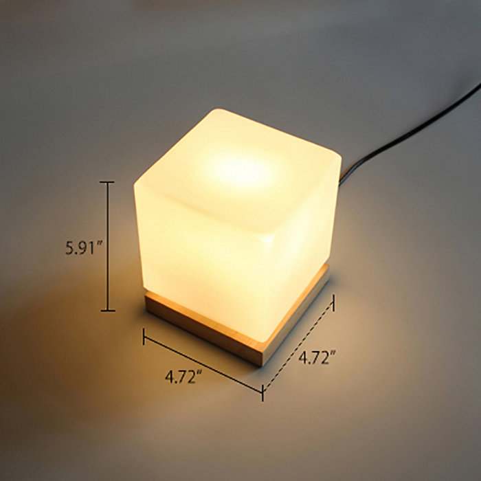 Ebern Designs Tavarius Novelty Lamp | Wayfair