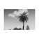 Bay Isle Home Keep Palm, And Carry On by Alex Tonetti - Wrapped Canvas ...