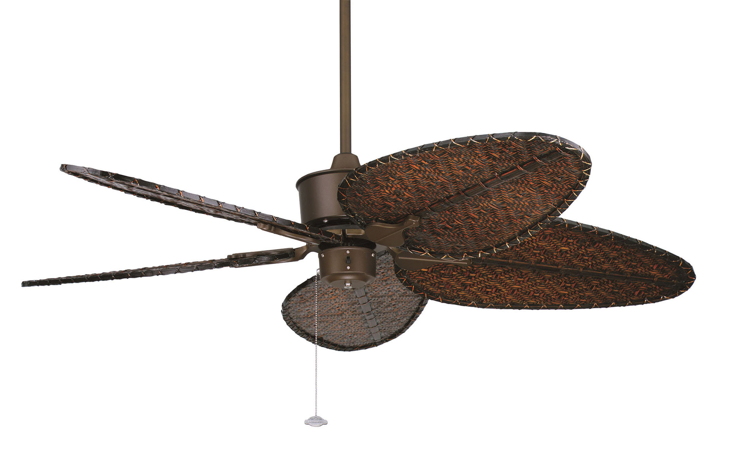 Fanimation Islander 52'' Ceiling Fan & Reviews | Wayfair