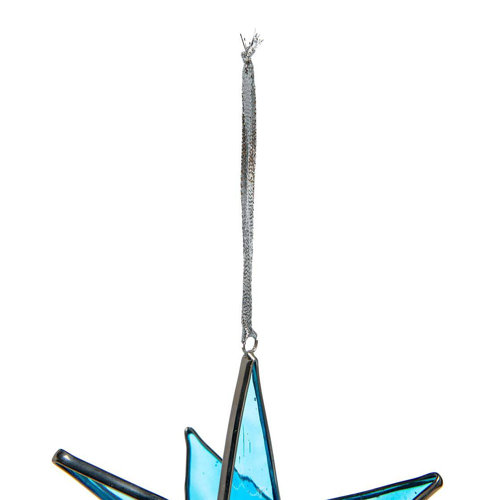 Wind & Weather Moravian Star Window Panel | Wayfair