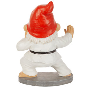 Design Toscano Karate Kobi Martial Arts Garden Gnome Statue & Reviews ...