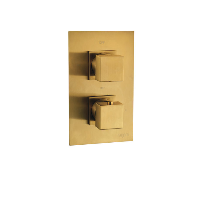 Niagara Concealed Shower Valve | Wayfair.co.uk