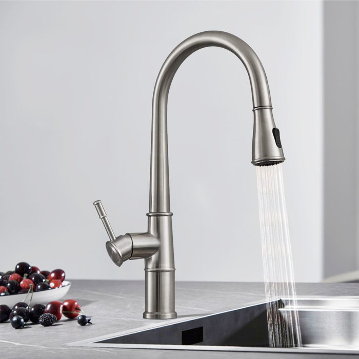 Topcraft Pull Out Kitchen Faucet | Wayfair