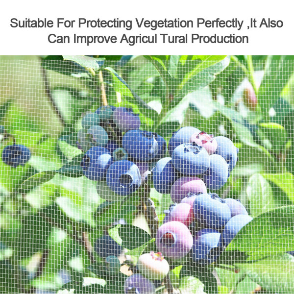 Forerate Mosquito Bug Insect Polyethylene Fencing & Reviews | Wayfair