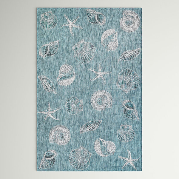 Aqua-outdoor-coastal-rugs | Wayfair