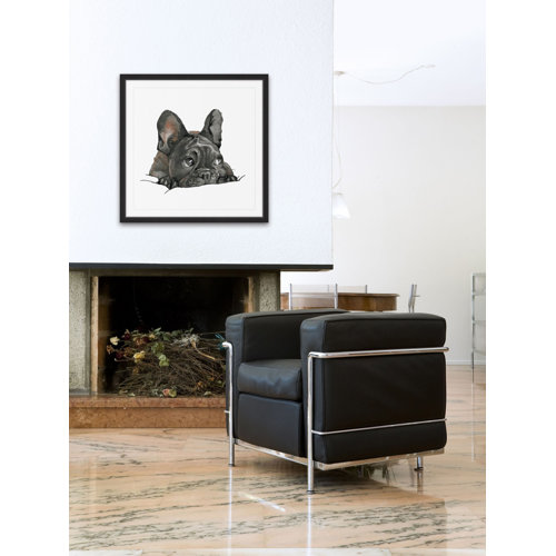 Red Barrel Studio® Sneaky Frenchie - Picture Frame Print & Reviews ...