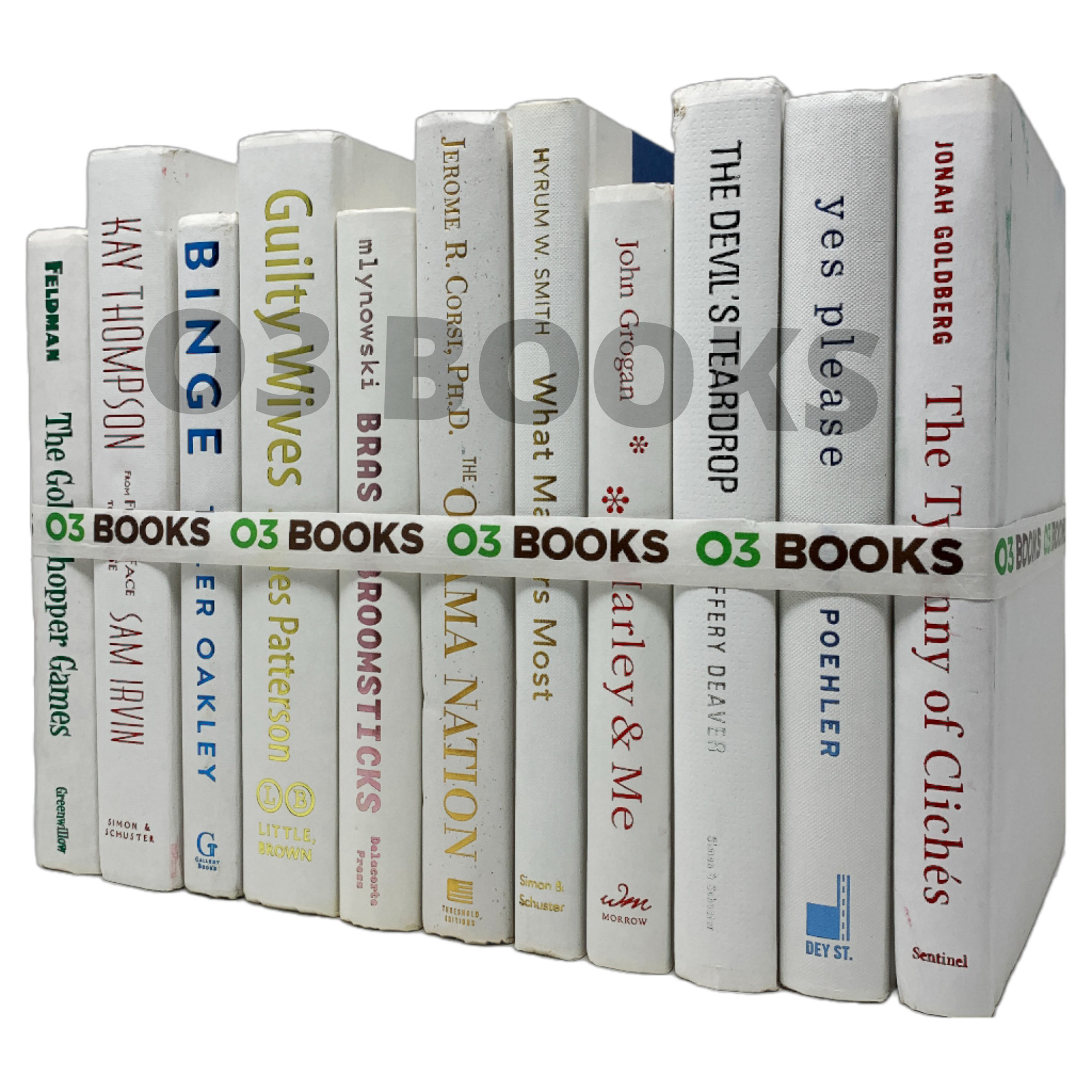 O3 Books White Decorative Books | Wayfair