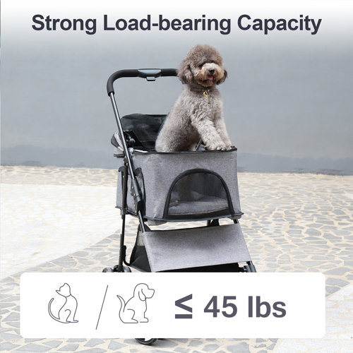 BingoPaw Folding Standard Stroller with Detachable Carrier | Wayfair