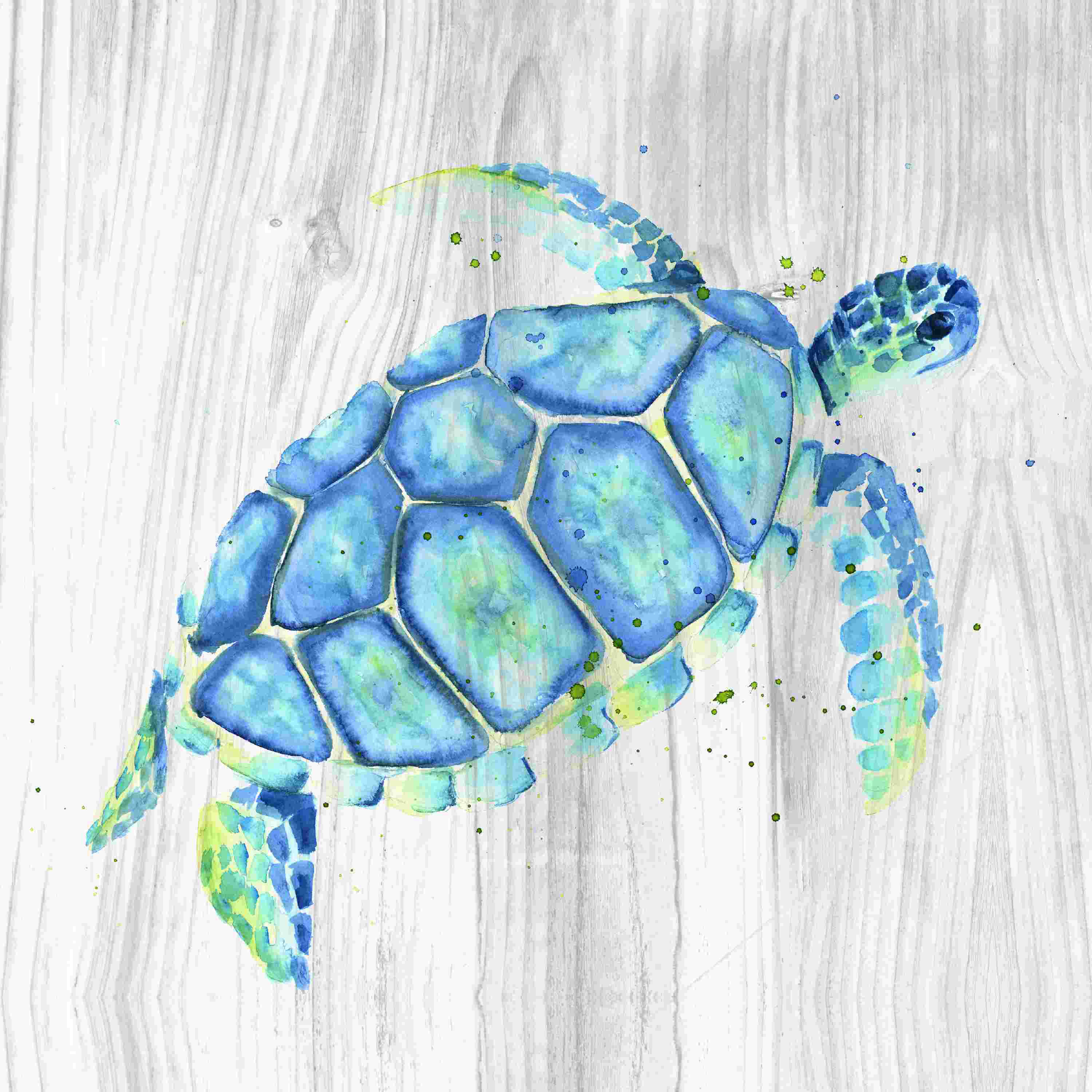 Bay Isle Home Distressed Watercolor Sea Turtle by - on | Wayfair
